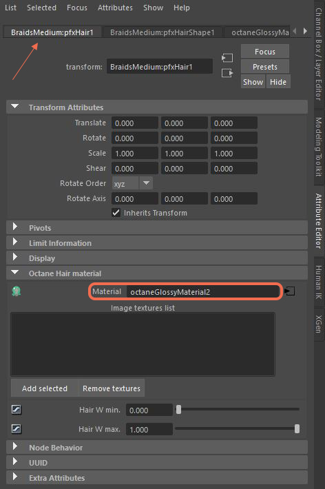 Hair Rendering – OTOY, Inc. SANDBOX